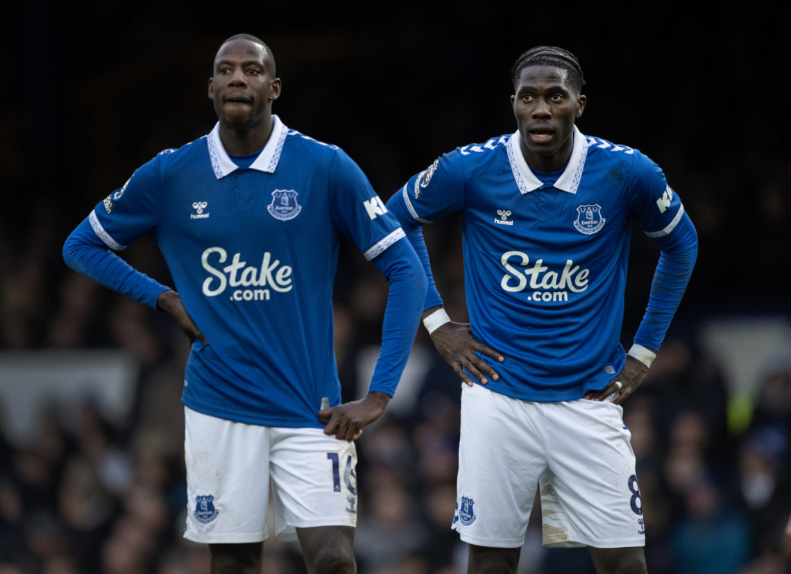 'Absolutely outstanding'... Sky commentator amazed by what £11m Everton ...
