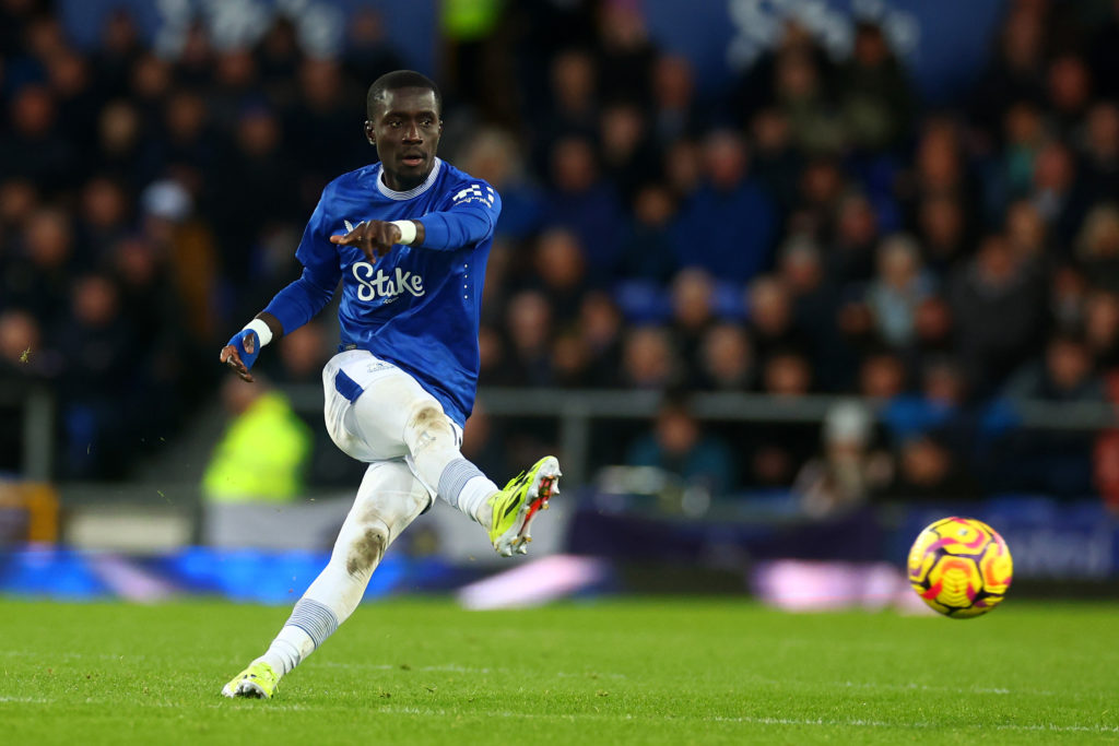 Everton's three best players so far this season including workhorse who ...
