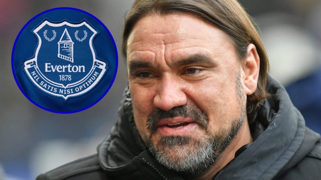 Daniel Farke drops verdict on Everton’s seven new signings ahead of ...